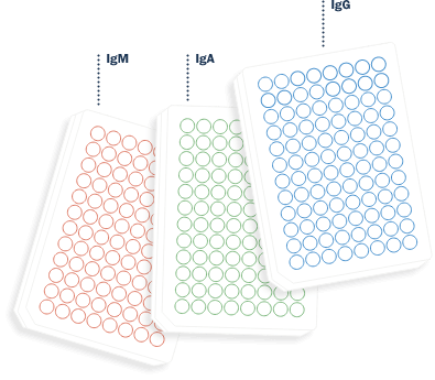 Microblot-Array (MBA) | TestLine Clinical Diagnostics s.r.o.