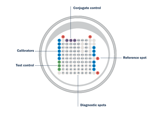 Microblot-Array (MBA) | TestLine Clinical Diagnostics s.r.o.